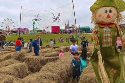 Hay Maze - heavenhillfarm